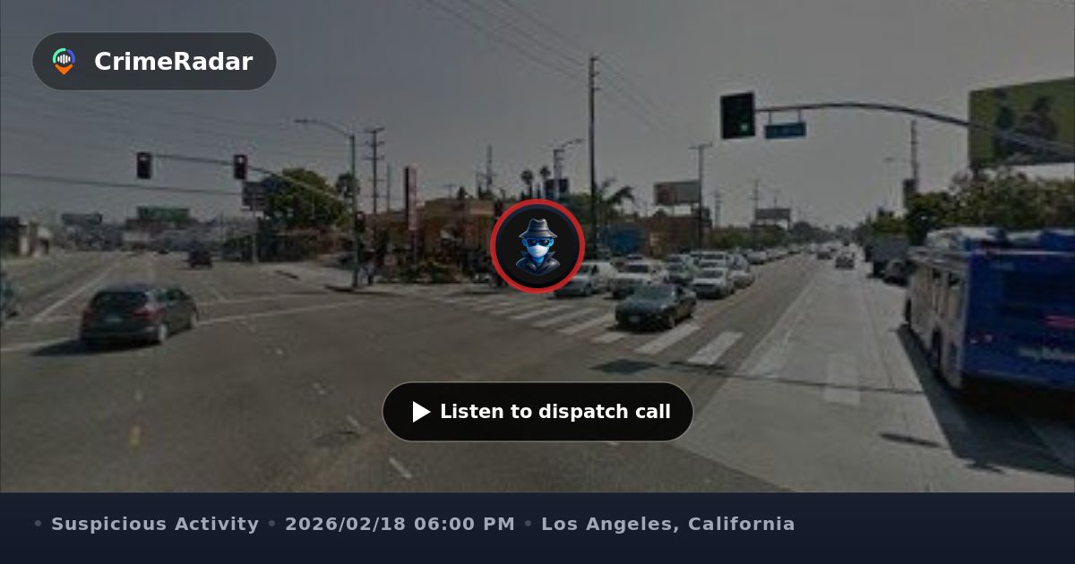 Suspicious person with dogs near La Brea and Pico, Los Angeles CA ...