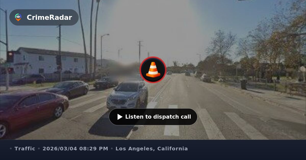 Hit-and-run suspect flees onto 110 freeway, Los Angeles CA | CrimeRadar