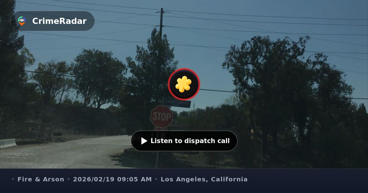 Vehicle fire at Paxton and Lopez Canyon Road, Los Angeles CA | CrimeRadar