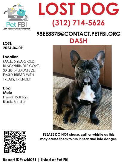 Are we allowed to post lost doggie posters?! If so, would love to ...