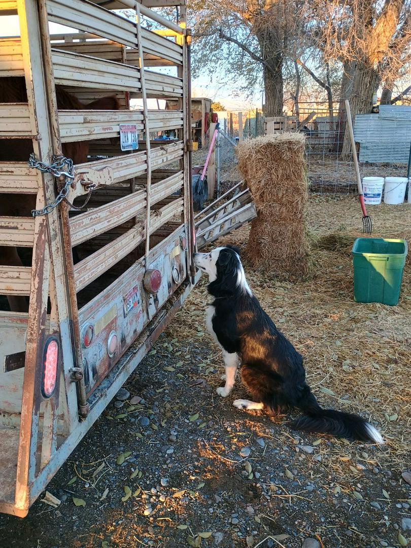 Their love never faded Witness the emotional reunion that brought this ...