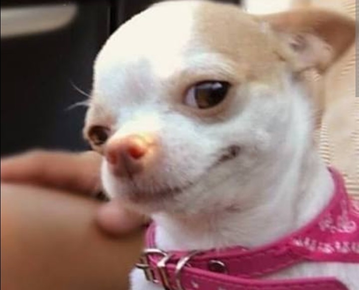 He gots a beer to #worldstar #police #fight #trending #funny #meme # ...