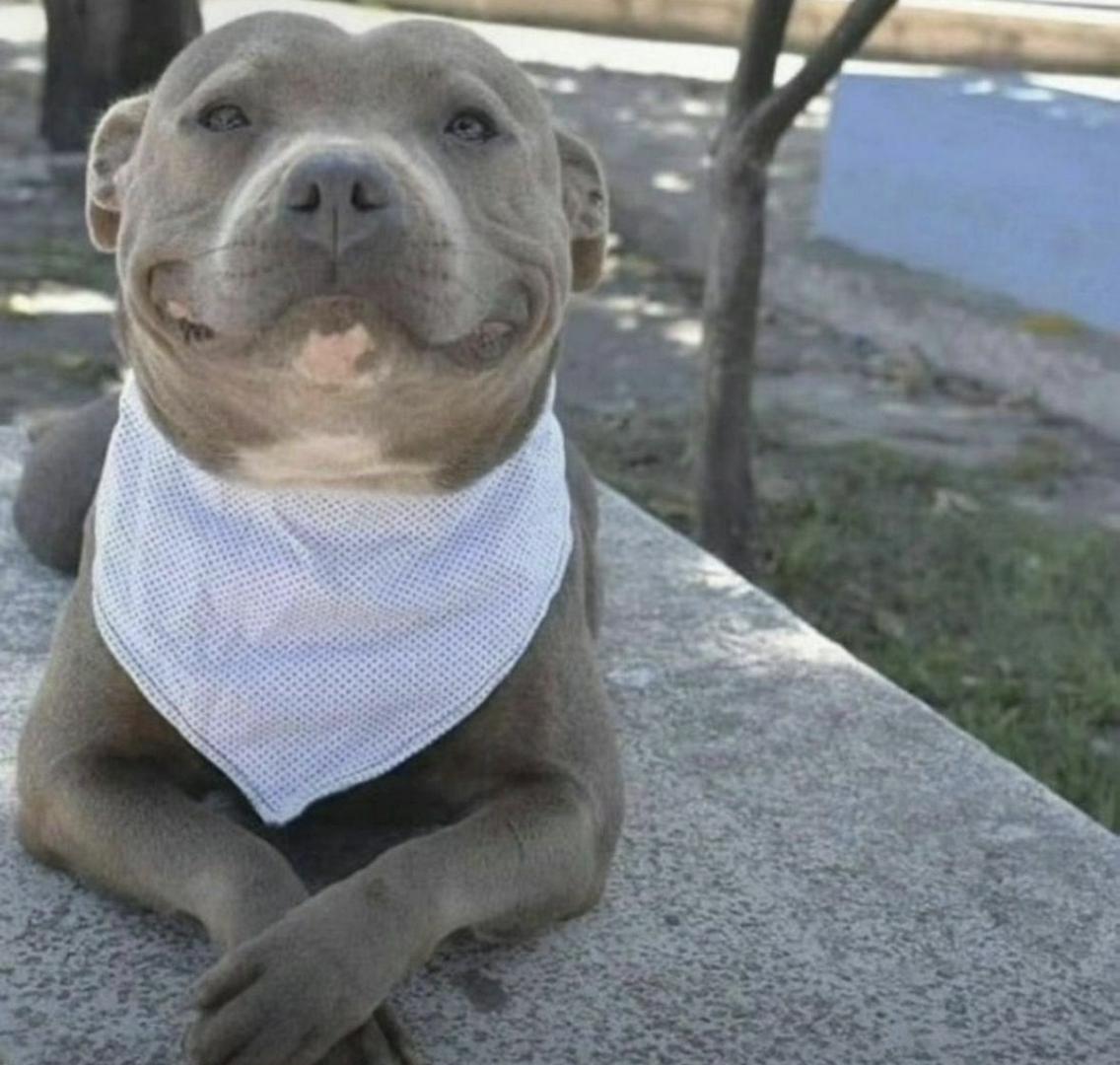 Mildred ain’t playin #fightcam #fyp #viral #fight #funny #comedy #crazy ...