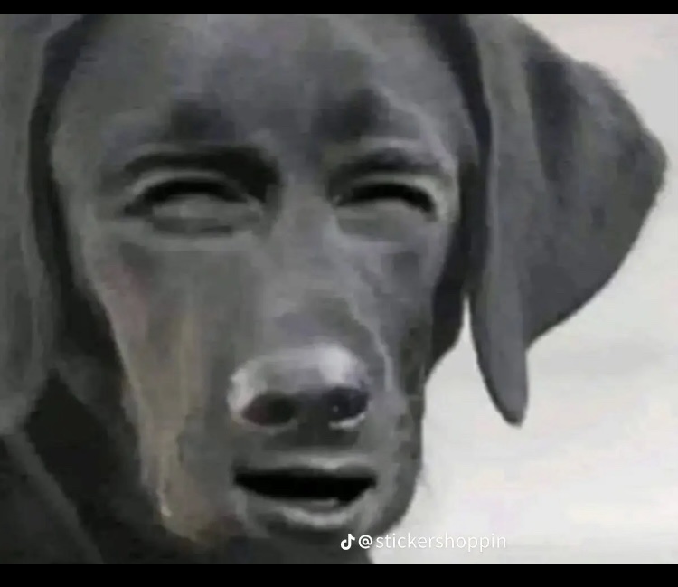 Mildred ain’t playin #fightcam #fyp #viral #fight #funny #comedy #crazy ...