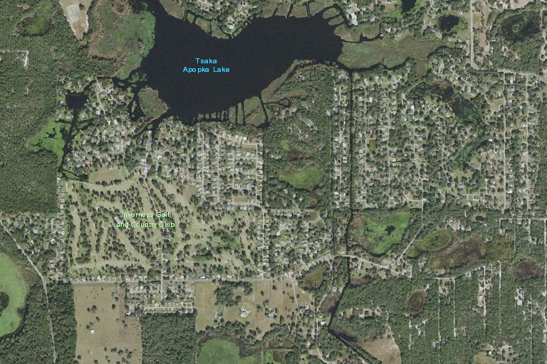 Apparent illegal burn near Winding Path in Inverness, Inverness FL ...