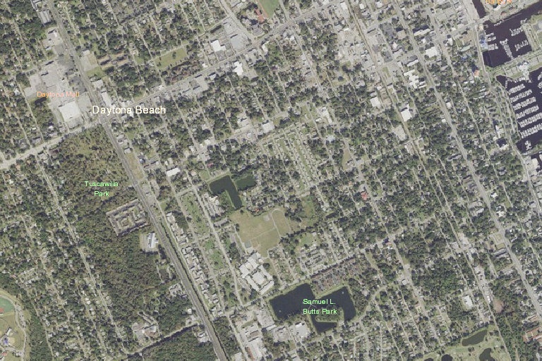 Loose dog complaint near Willie Dr, Daytona Beach FL | CrimeRadar