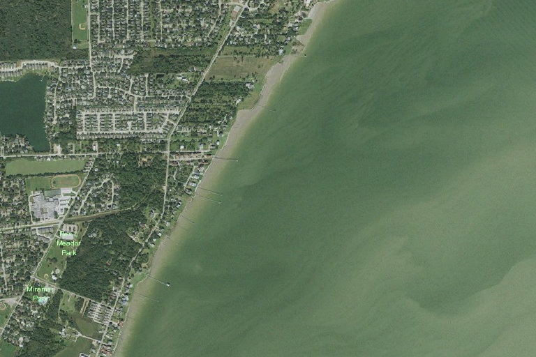 People reported stealing bamboo near dirt parking lot, Seabrook TX ...