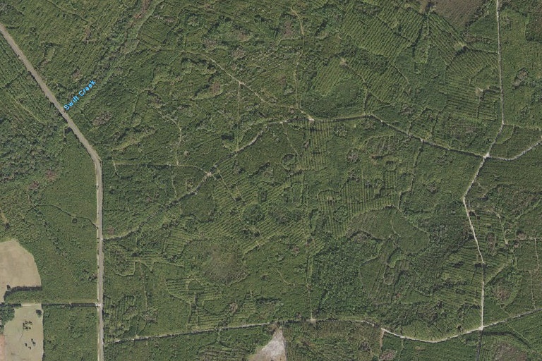 Woman reports burning sensation while urinating, Lake Butler FL ...