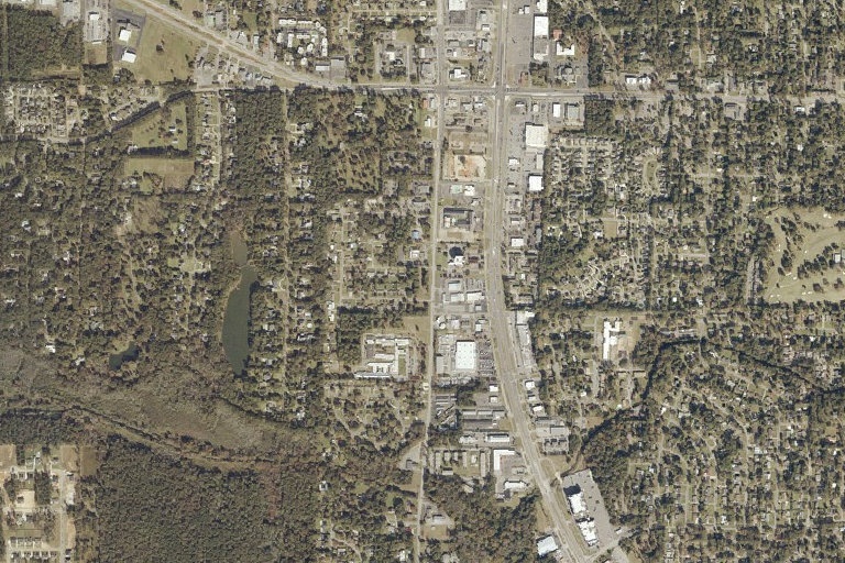 Female patient seizing at Crazy Monkey Bar in Dothan, Dothan AL ...