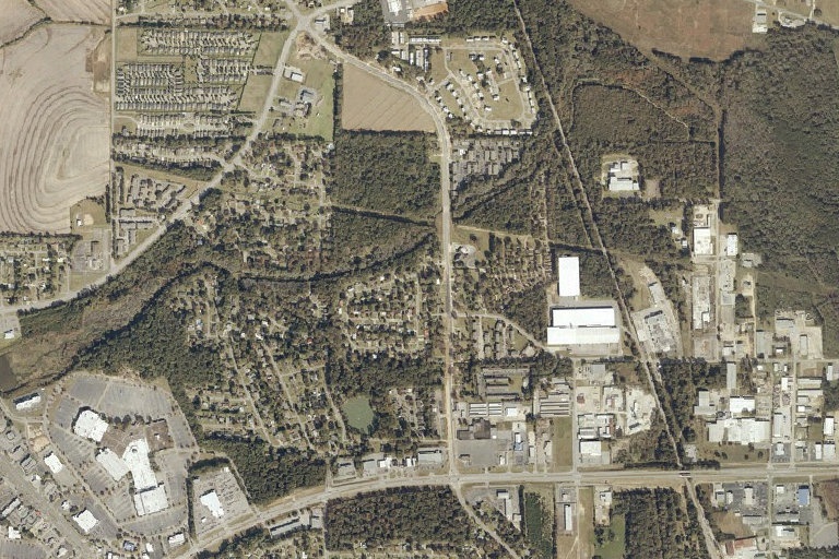 Woman panhandling for money in Walmart parking lot, Dothan AL | CrimeRadar