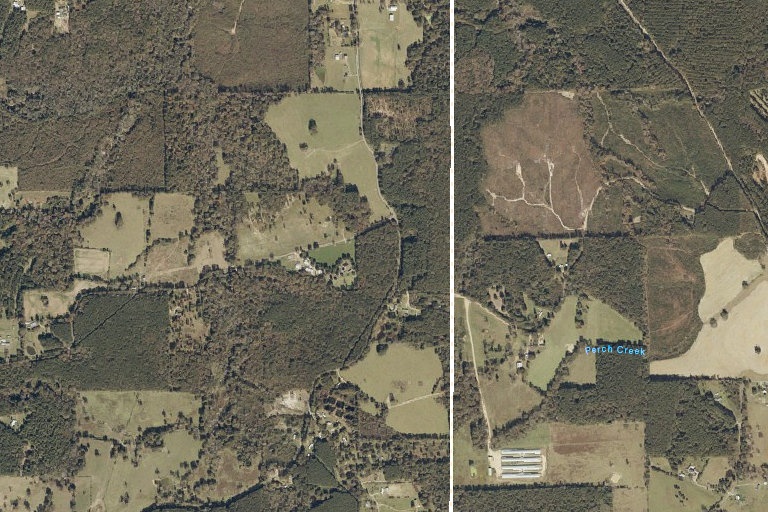 Man has seizure near Evans Loop SE, Ruth MS | CrimeRadar