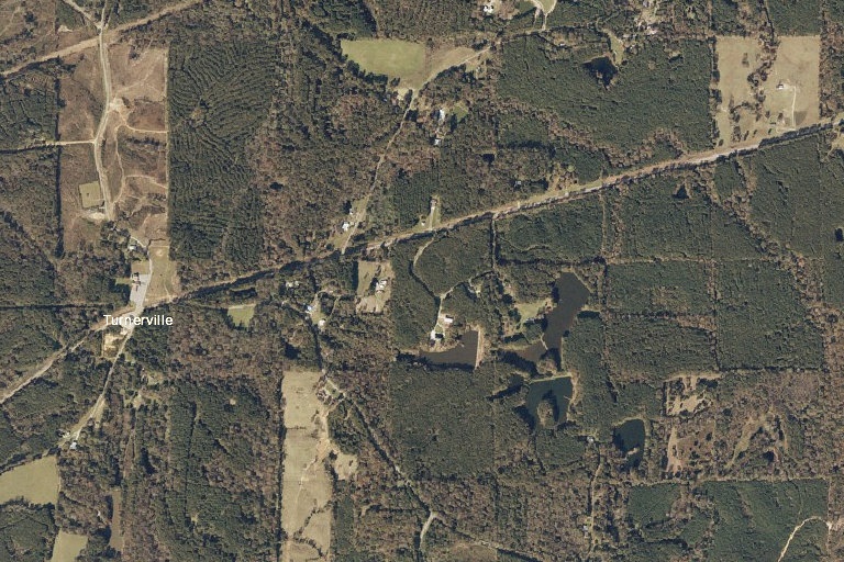 Black cow blocking road near County Road 27 and 16, Jasper County MS ...