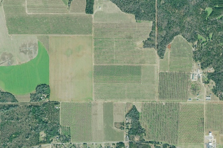 Traffic accident near Station 5 on Highway 96, Peach County GA | CrimeRadar