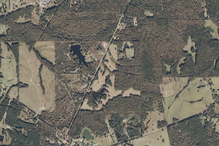 Woman experiences severe medical symptoms after allergy, Canton MS ...