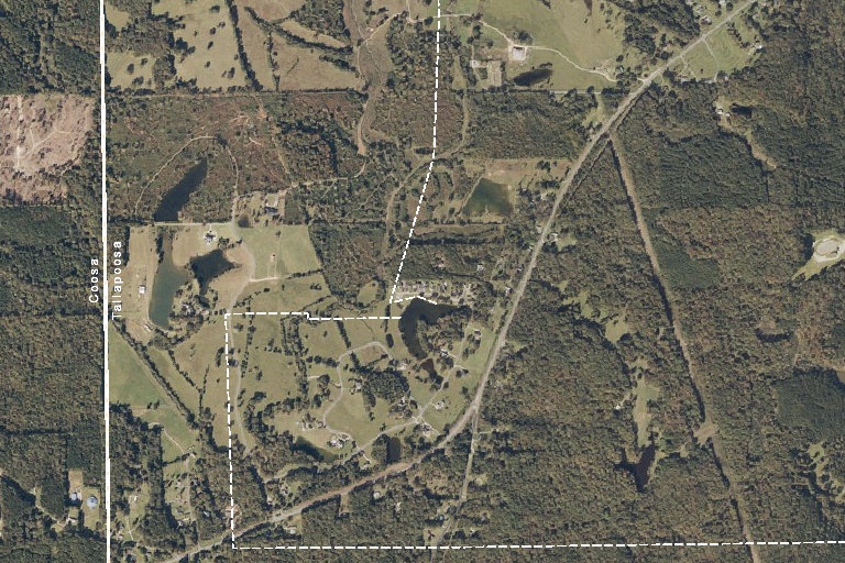 Two men swerving golf cart near Fishpond Road bridge, Alexander City AL ...