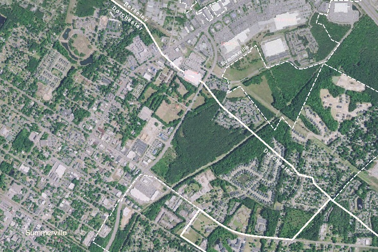 Woman with brain tumor has seizure at apartment, Summerville SC ...