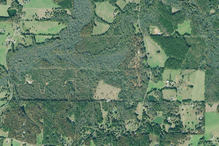 Woman reports vaginal bleeding and sharp cramping pain, Carrollton GA ...