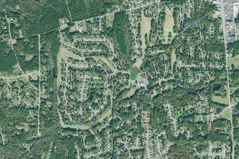 Elderly woman experiences head rush and rapid heart rate, Rockdale ...