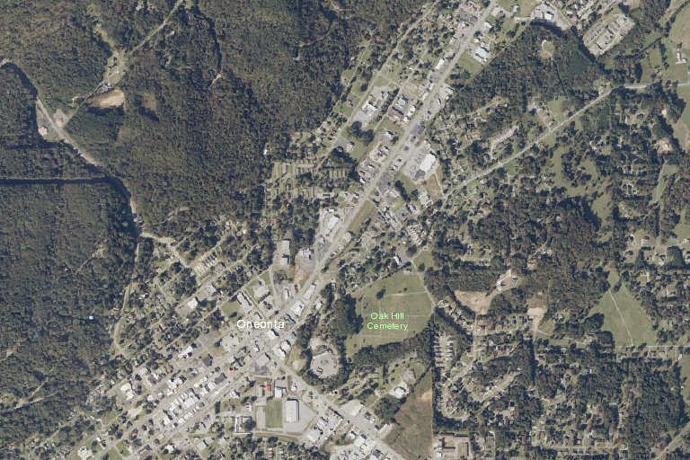 Elderly woman reported sick after days of vomiting, Oneonta AL | CrimeRadar