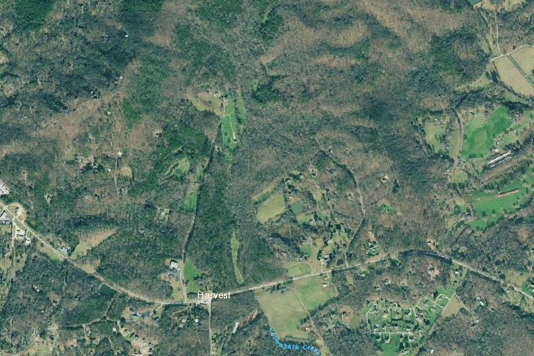 Deer near roadway on Highway 17 creates hazard, Habersham County GA ...
