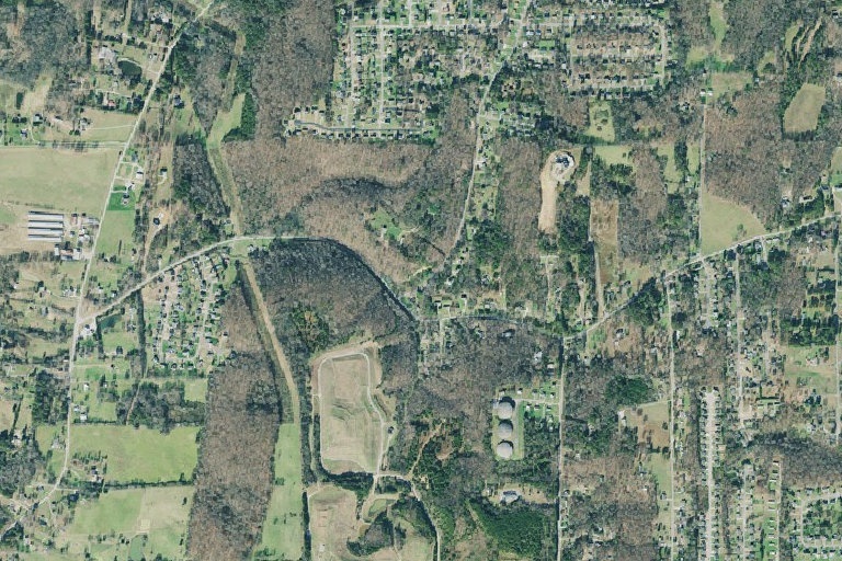 Cow Loose Near Oak Tree Road Animal Shelter, Catoosa County GA | CrimeRadar