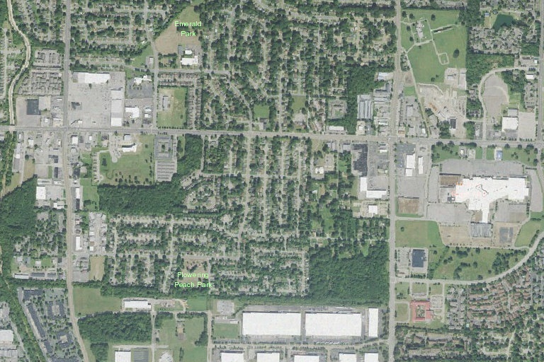 Police respond to vehicle theft report at Maple Tree Dr, Memphis TN ...