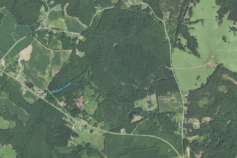 Allergic reaction reported near McCraw and Barnes Roads, Mooresboro NC ...