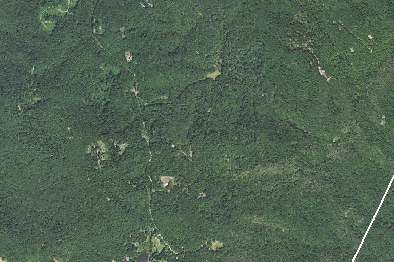 Fire crews investigate heavy smoke near frog pond, Buncombe County NC ...