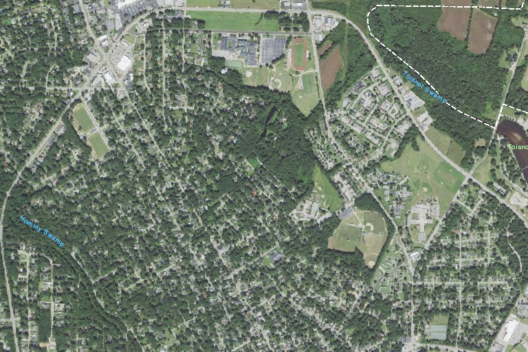 Subject bleeds after tripping near Grove St N in Wilson, Wilson NC ...