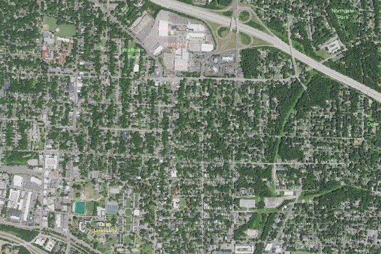 Carbon monoxide detector triggers alarm near Trinity Ave Durham, Durham ...