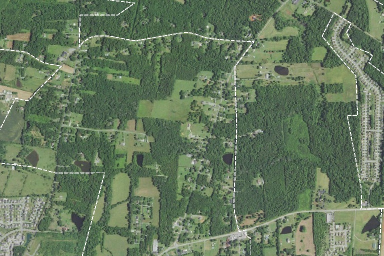 Tree causes electrical hazard near Nc-61 south, Whitsett NC | CrimeRadar