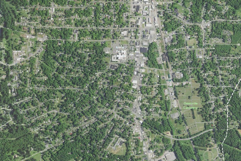 Sick cat reported with fleas near maple avenue, Reidsville NC | CrimeRadar