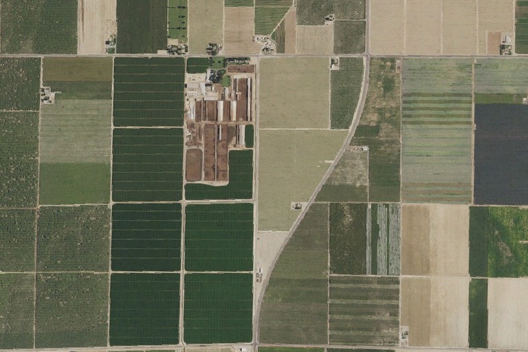 Deceased dog reported on shoulder near Davis Ave, Fresno County CA ...