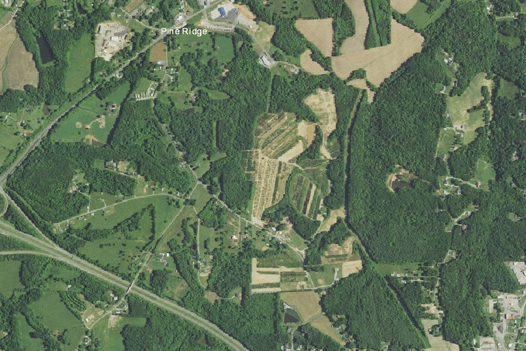 Unresponsive individual sparks urgent medical response at Mt Airy ...