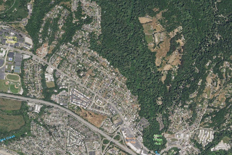 Tree on power lines sparks hazard response, San Francisco CA | CrimeRadar