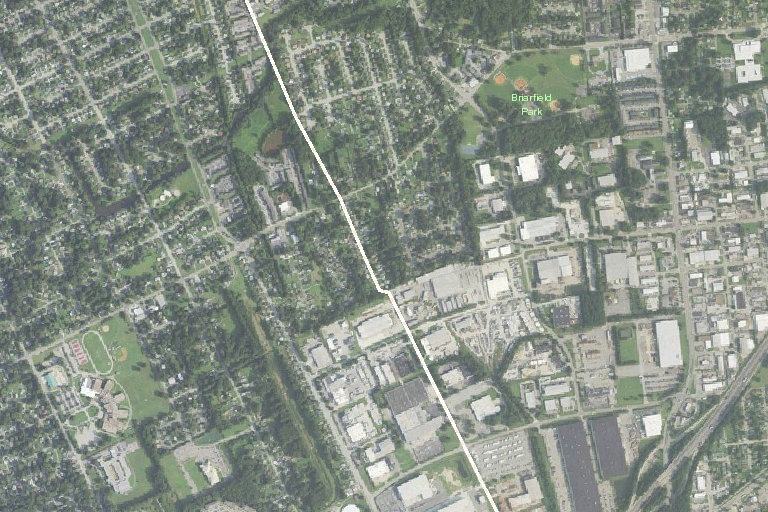 Spider bite incident involving female patient near Chestnut Ave ...