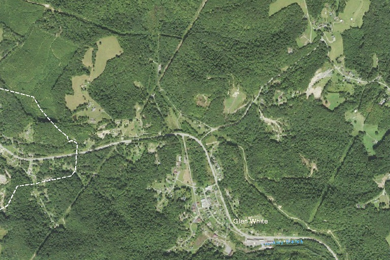 Child bitten by dog and knocked down in Glenwhite, Lester WV | CrimeRadar