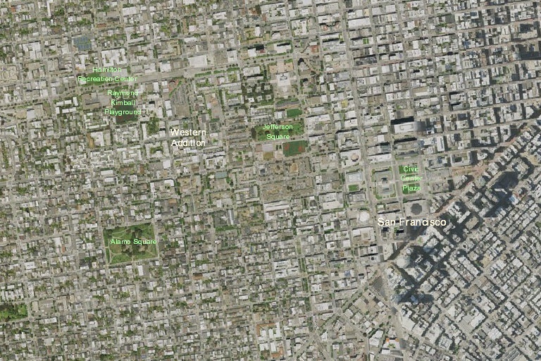 Mentally disturbed person reported near Haight Street, San Francisco CA ...