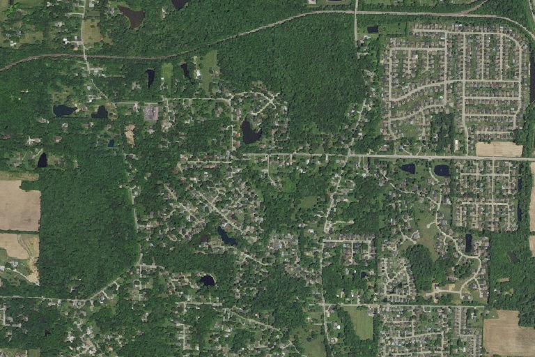 Neighbor throws tree branches into yard causing dispute, Evansville IN | CrimeRadar