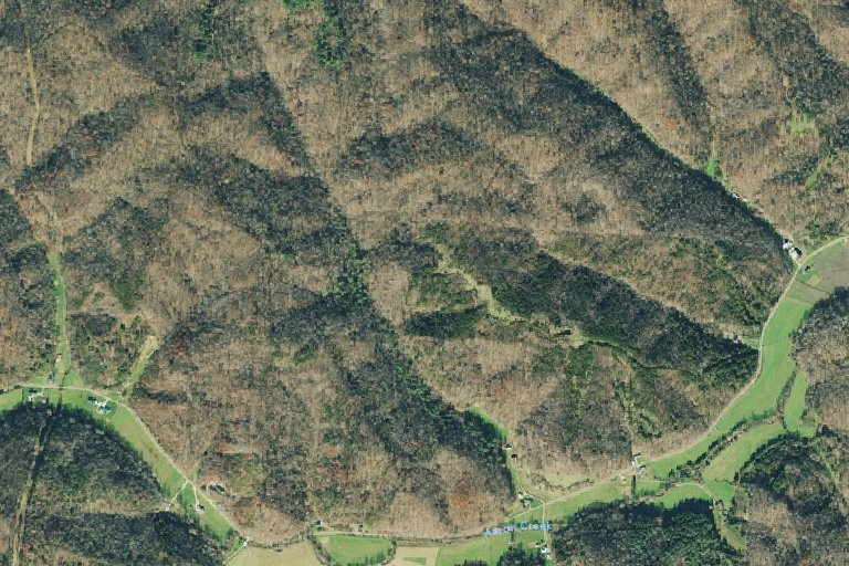 Tree crash blocks County Road 16, sparks traffic hazard, Lawrence ...