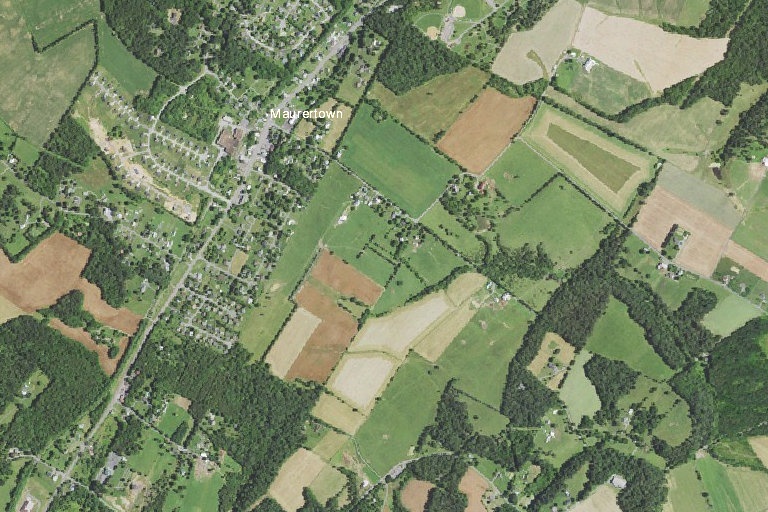 Person injured from fall with severe bleeding and possible fracture ...