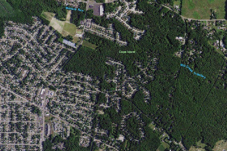 Fall victim reported near Crane Fly Circle in Lower Township, Cape May ...