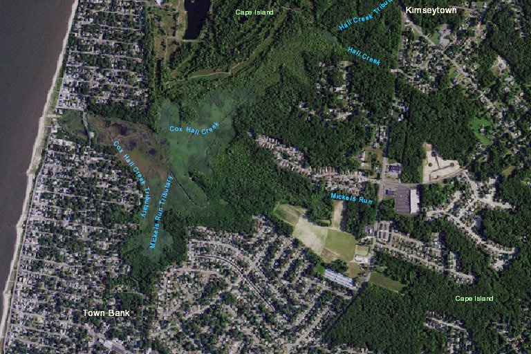 fall victim reported near roseanne avenue in north cape may, Lower ...