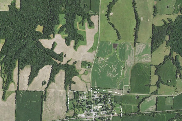 Red pickup leaks gasoline in neighbor's yard on North St, Gilliam MO ...