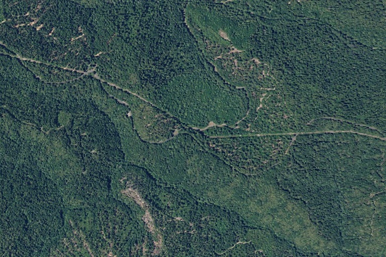 Fifteen piles smoldering in state forest area, Fort Bragg CA | CrimeRadar