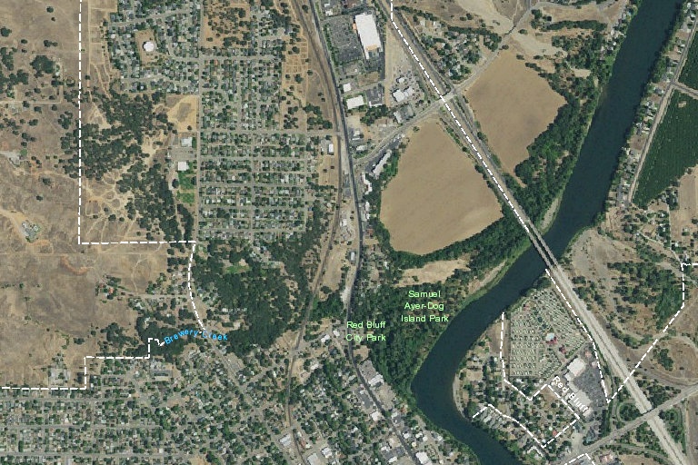 Dog island park reopened with minor smoldering fires, Red Bluff CA ...