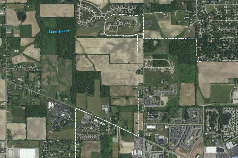 Low hanging tree limb causes road obstruction, Muncie IN | CrimeRadar