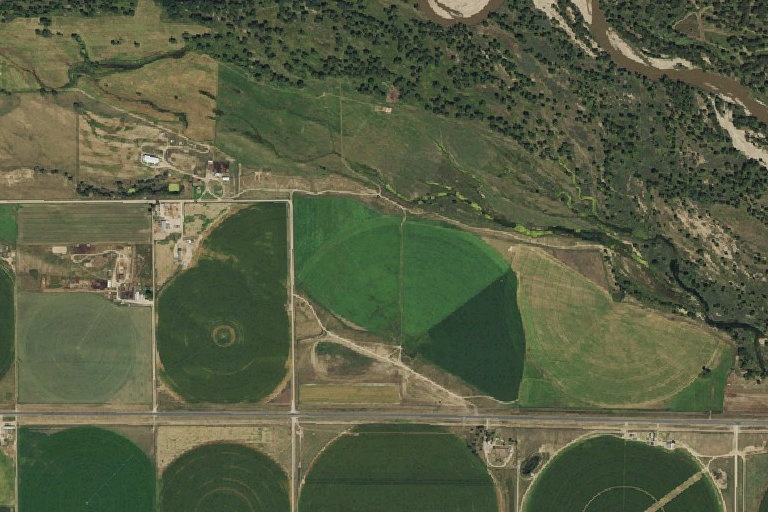 Semi-truck hits several cows near highway intersection, Weld County CO ...