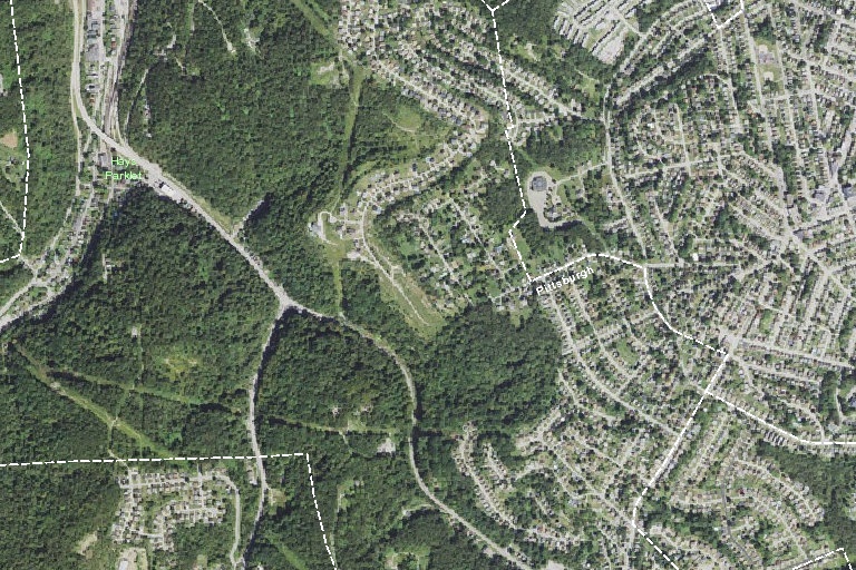 Tree down sparks fire alarm near Mooney Rd, Pittsburgh, Pittsburgh PA ...