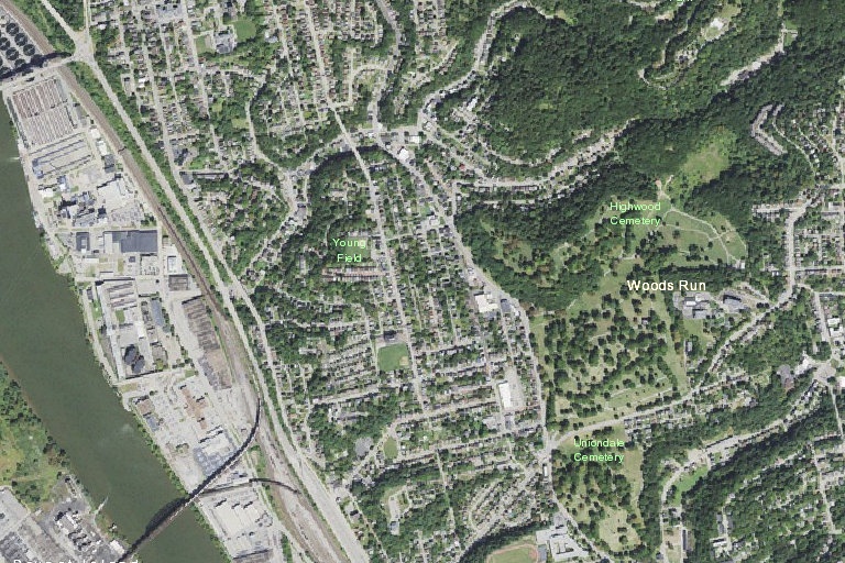 Teen allergic to insect sting near Superior Ave in Pittsburgh ...